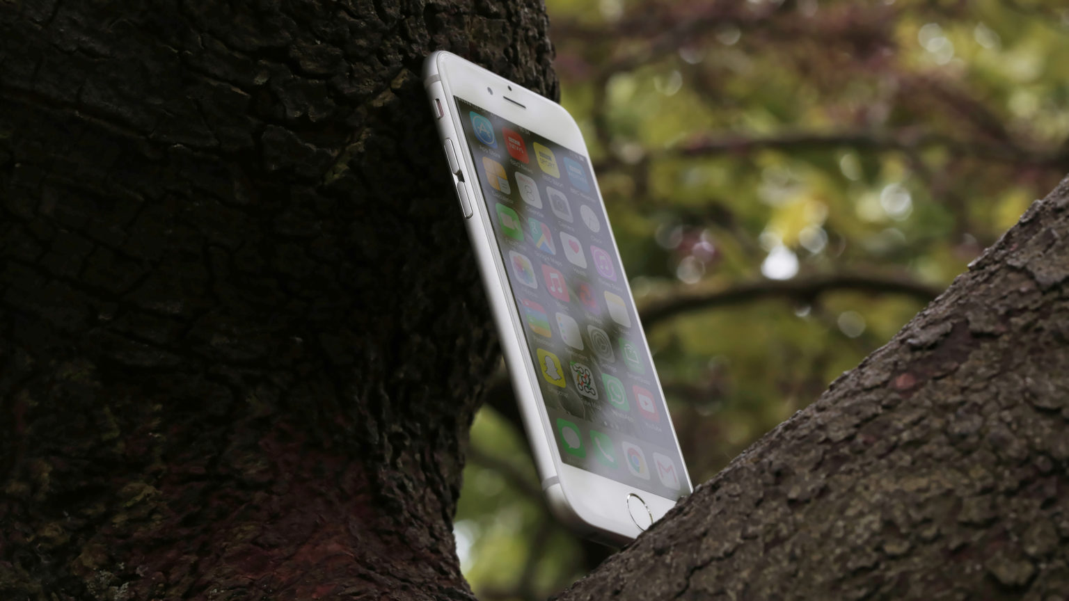 iPhone 6 Review: It May Be Old, But It's Still A Fine Phone