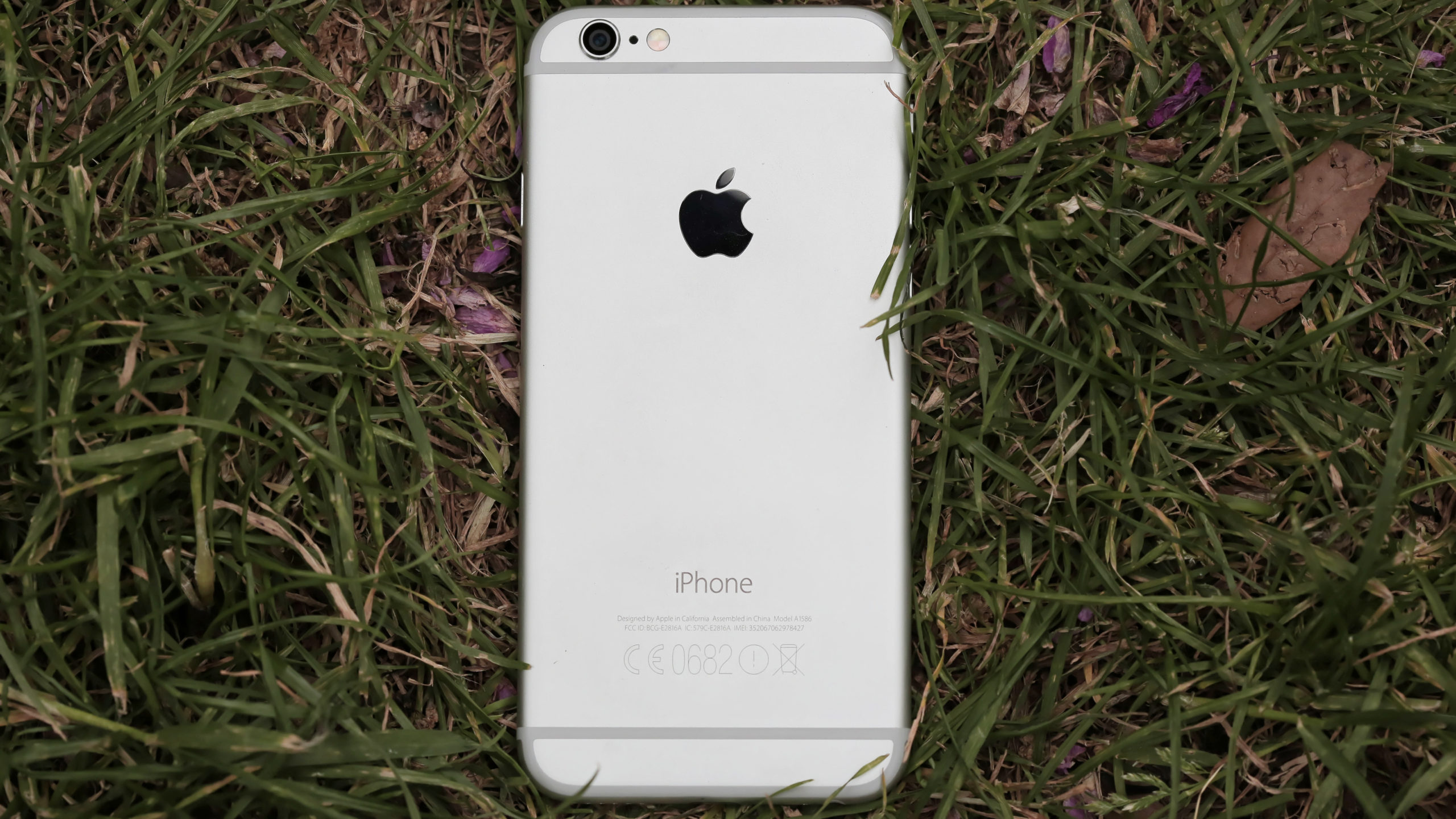 iPhone 6 Review: It May Be Old, But It's Still A Fine Phone