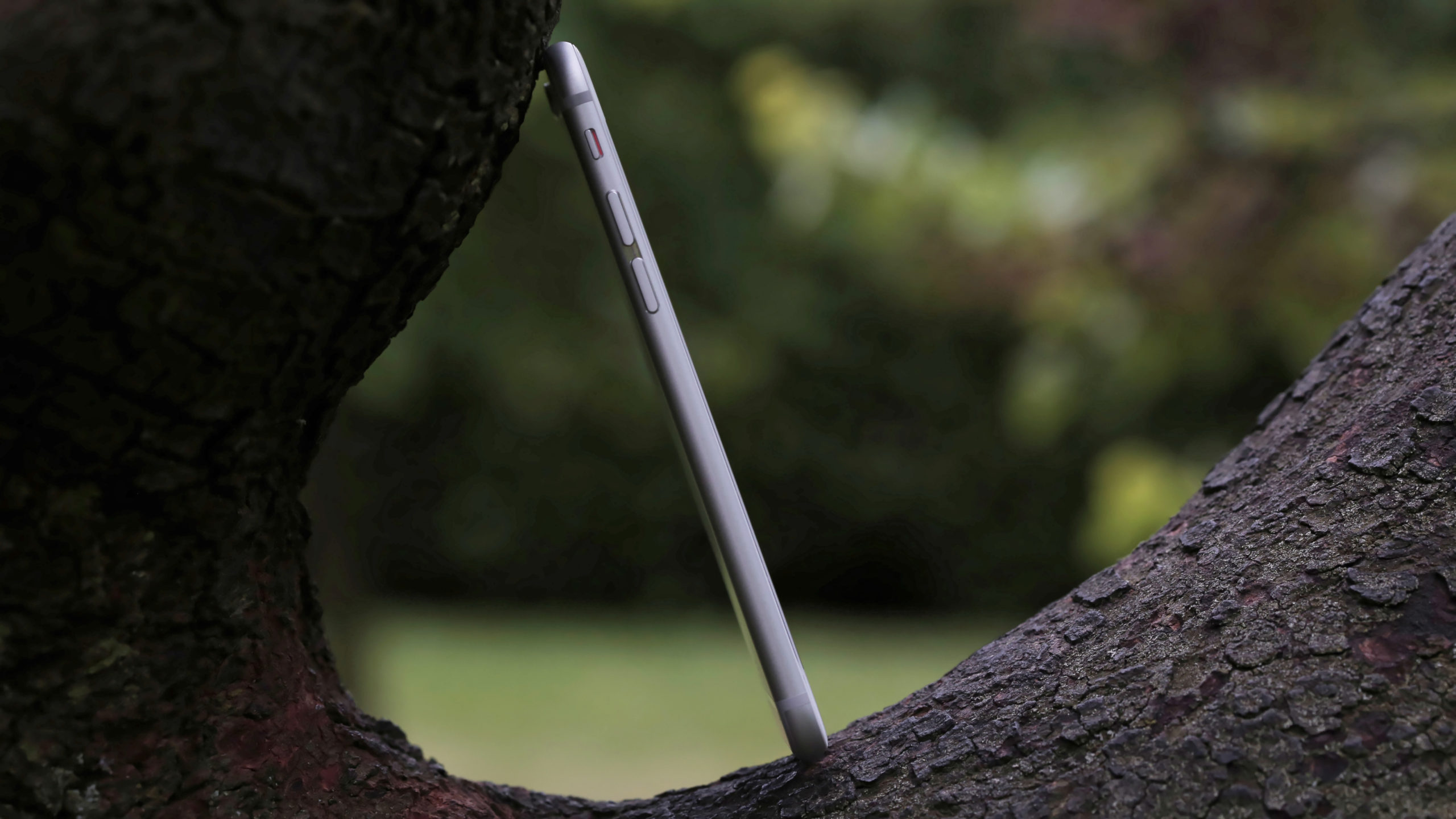 iPhone 6 Review: It May Be Old, But It's Still A Fine Phone