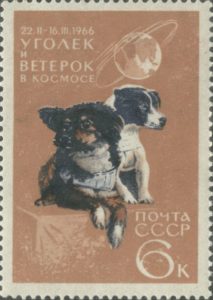 Dogs in Space: Meet the Soviet Union space programme's unsung heroes