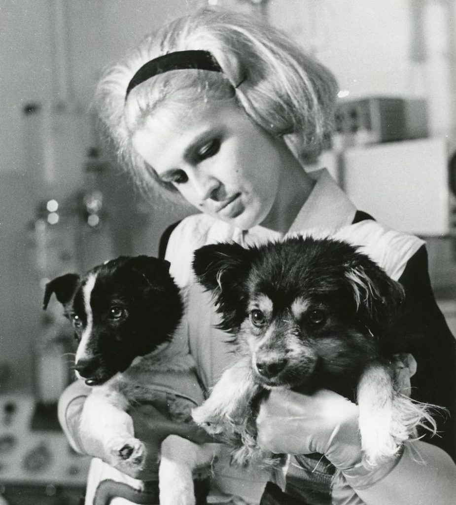 Dogs in Space: Meet the Soviet Union space programme's unsung heroes