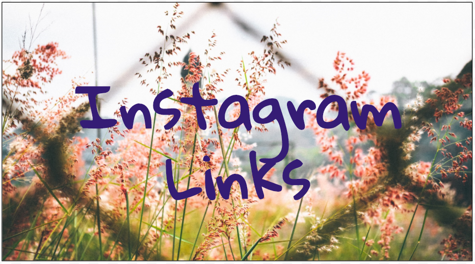 How to Send a Link to a Specific Instagram Post
