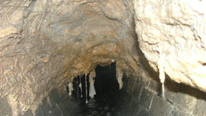 Stomach-churning show reveals the grim contents of London's 130-tonne ...