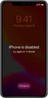 How to Reset Your iPhone Passcode