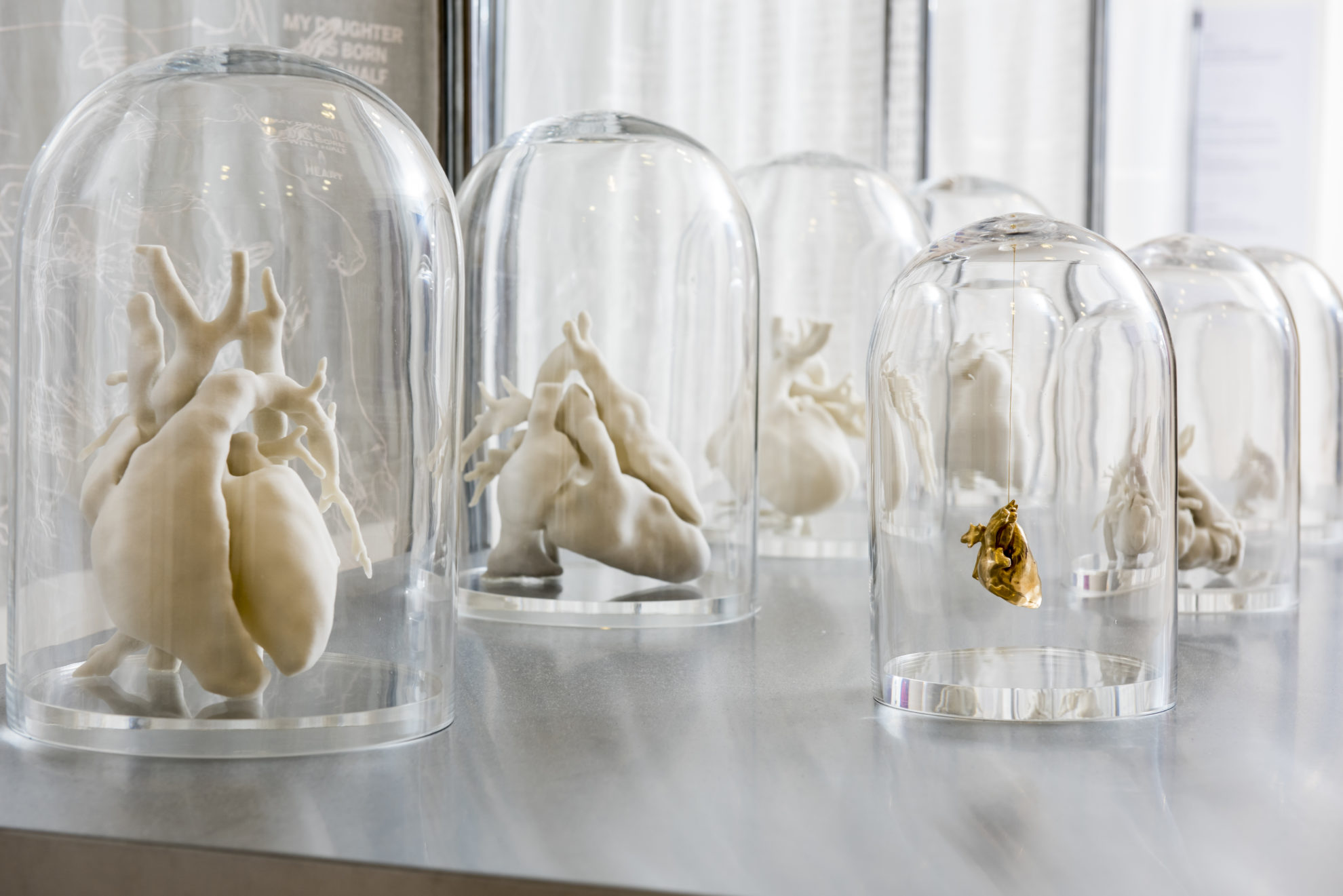 These 3D-printed sculptures playfully explore the heart’s complex beauty