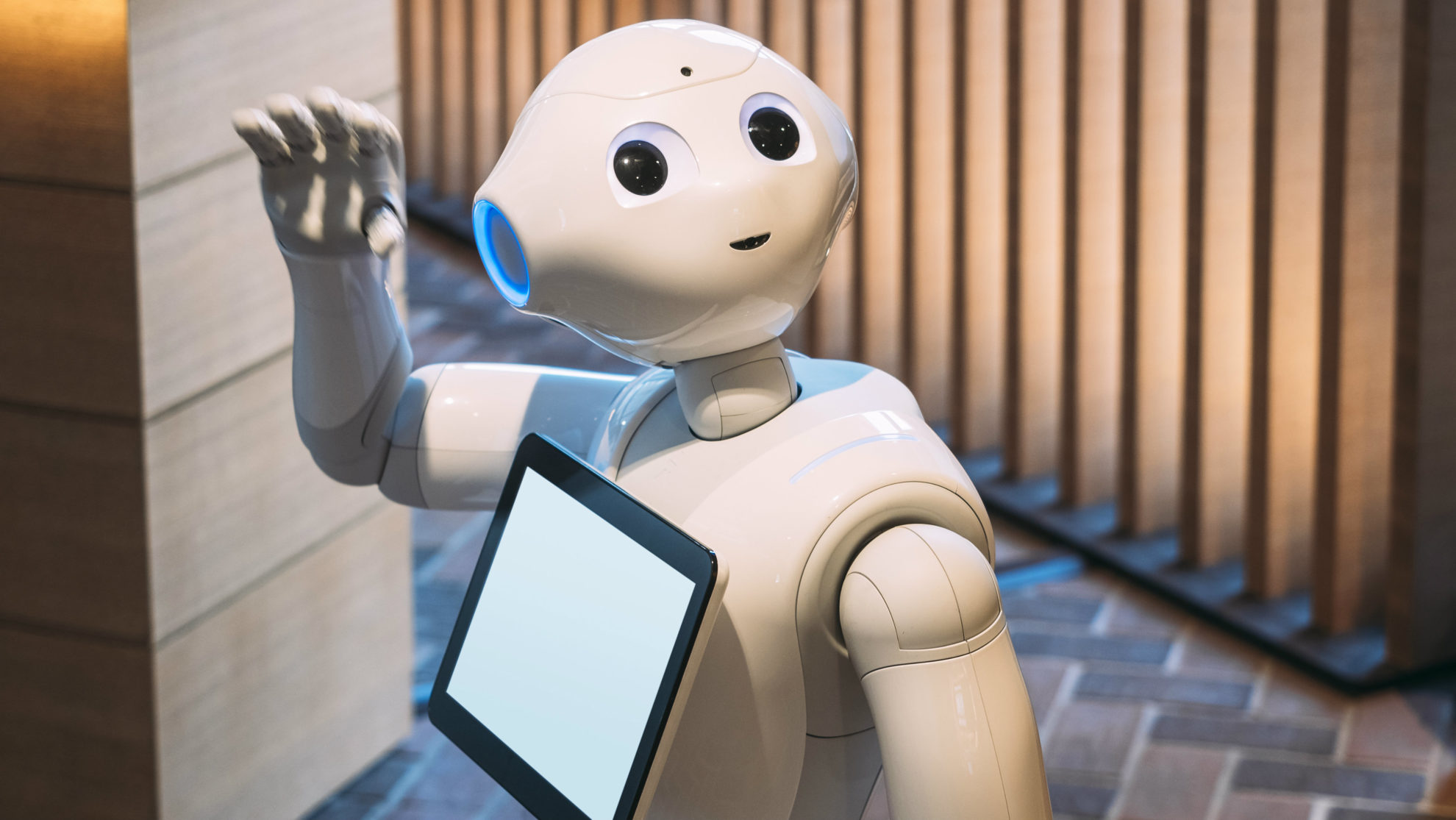 Amazon reportedly wants us all to have Alexa home robots looking after ...