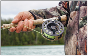 The 14 Best Roku Private Channels