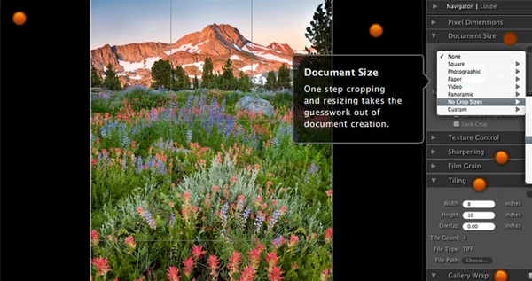 How To Zoom in a Photo Without Losing Quality