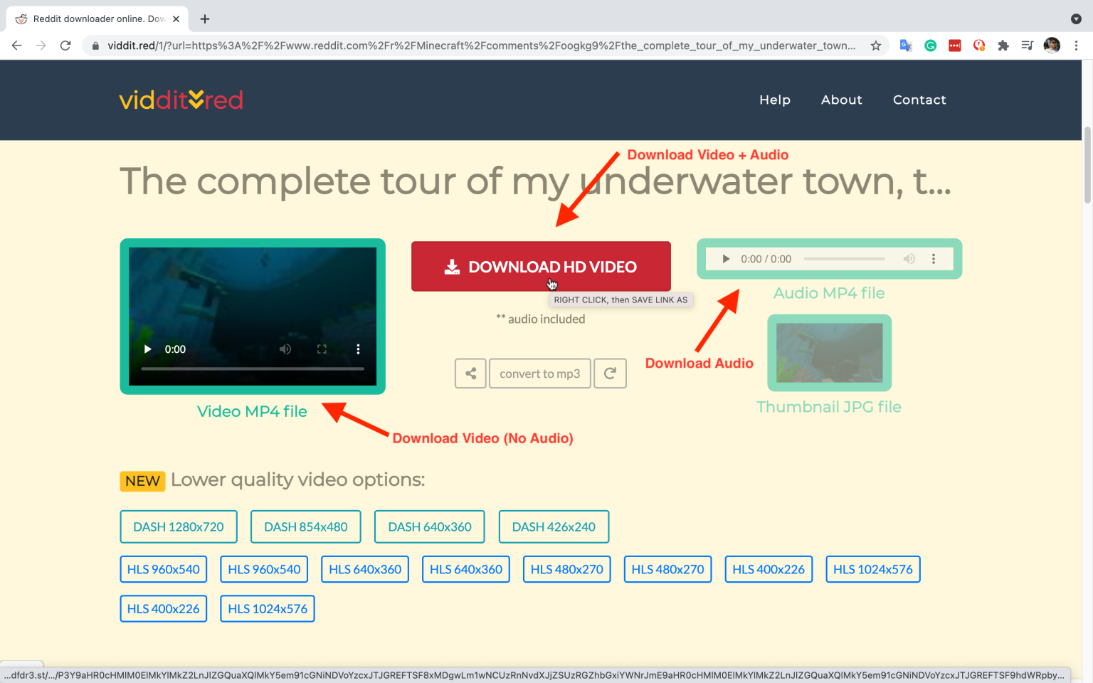 How to Download Videos from Reddit