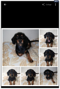 How to Make a Photo Collage with Google Photos