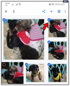 How to Make a Photo Collage with Google Photos