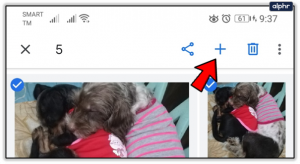 How to Make a Photo Collage with Google Photos