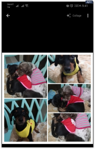 How to Make a Photo Collage with Google Photos