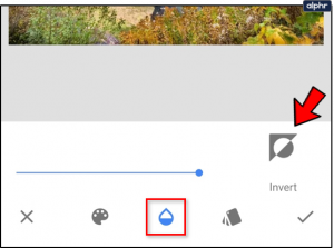 How to Add Text in Snapseed