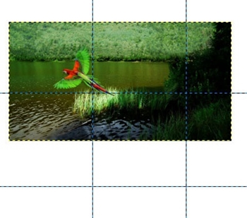 How to Make a Photo Collage in Gimp