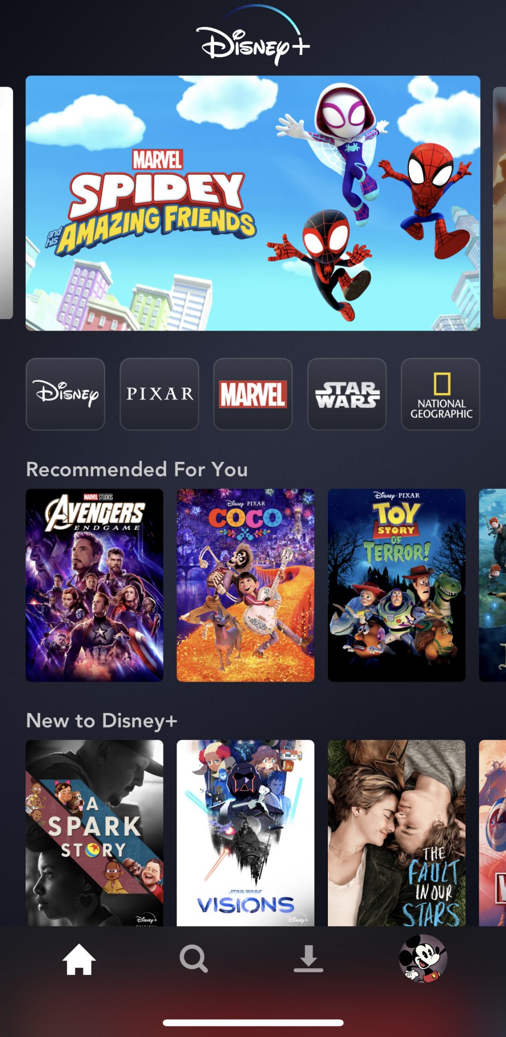 How to Watch Disney Plus in a Different Country