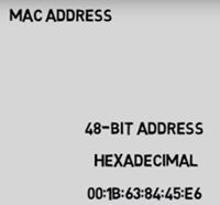 Do Amazon Smart Plugs Have a MAC Address?