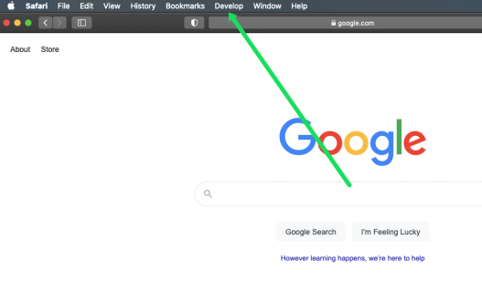How to Change the User-Agent String in Google Chrome