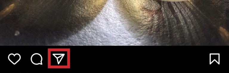 How To Screenshot an Instagram Post