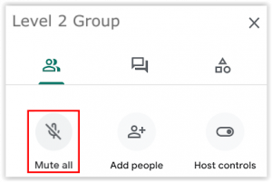 How to Share Audio in Google Meet