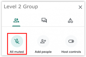 How to Share Audio in Google Meet
