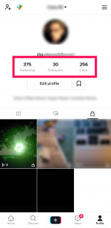 How To Use TikTok: A Beginner's Guide