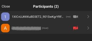 How to Change Your User Name in Zoom