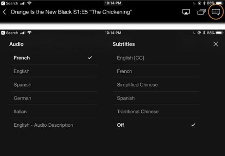 How to Manage Subtitles for Netflix [All Major Devices]