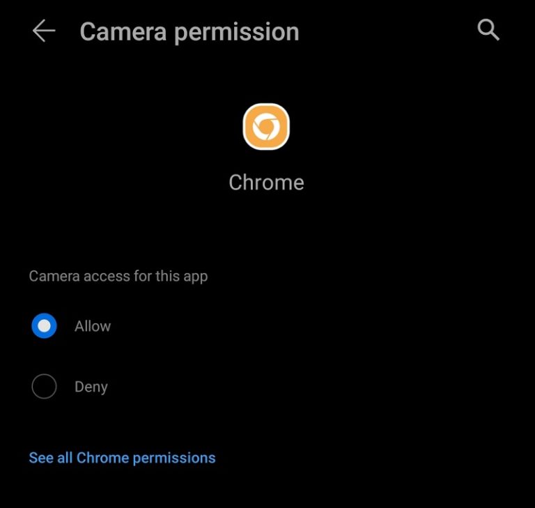 How to Allow Chrome Access to Your Camera
