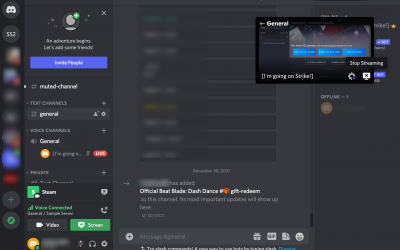 How to Go Live in Discord