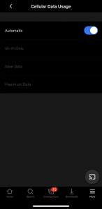 How to Adjust Video Quality on Netflix