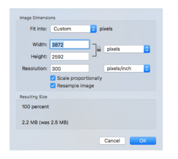 How to Resize an Image [from Any Device]