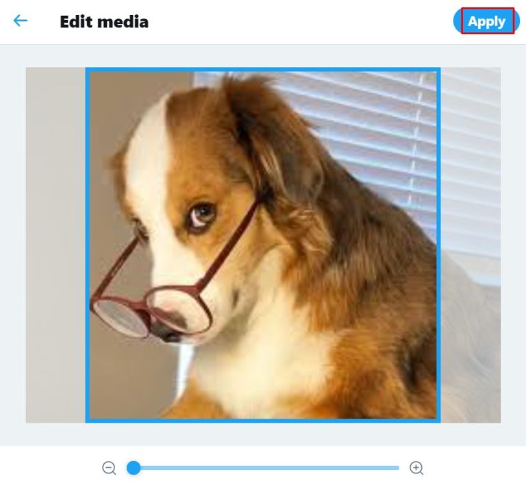 How to Change Your Username and Display Name on Twitter from Any Device