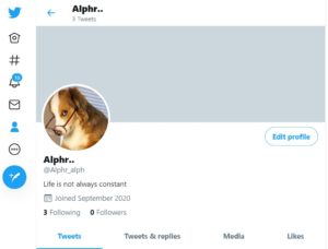 How to Change Your Username and Display Name on Twitter from Any Device