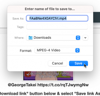 How to Save a GIF from Twitter