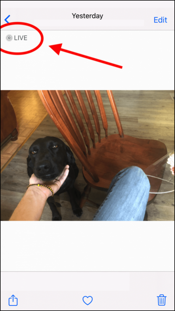 How To Post a Live Photo on Instagram