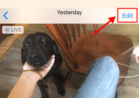 How To Post a Live Photo on Instagram