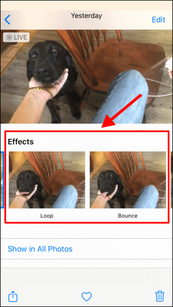 How To Post a Live Photo on Instagram