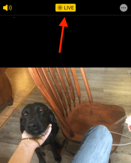 How To Post a Live Photo on Instagram