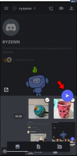 How to Send Files on Discord