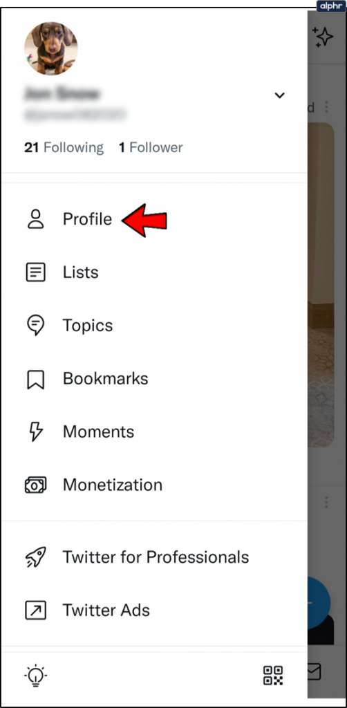 How to Remove Your Profile Picture on Twitter