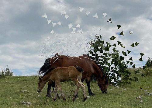 How to Change Your Photo's Resolution in PicsArt