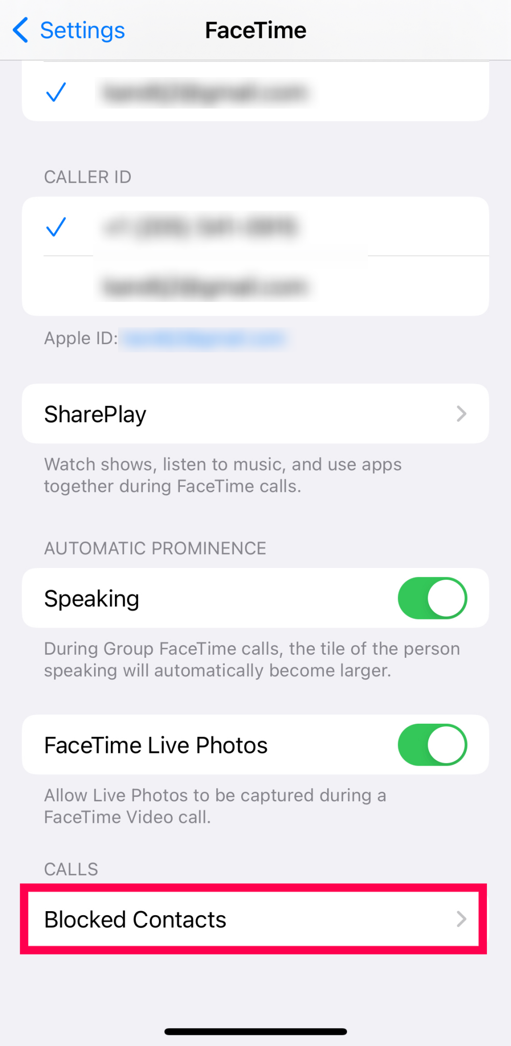 How to View All Blocked Numbers on Your iPhone
