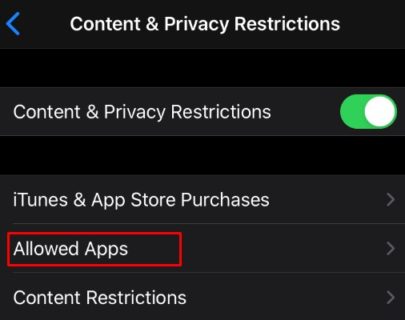 How to Block Downloading Apps on iPhones New & Old