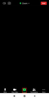 How to Draw in a Zoom Meeting