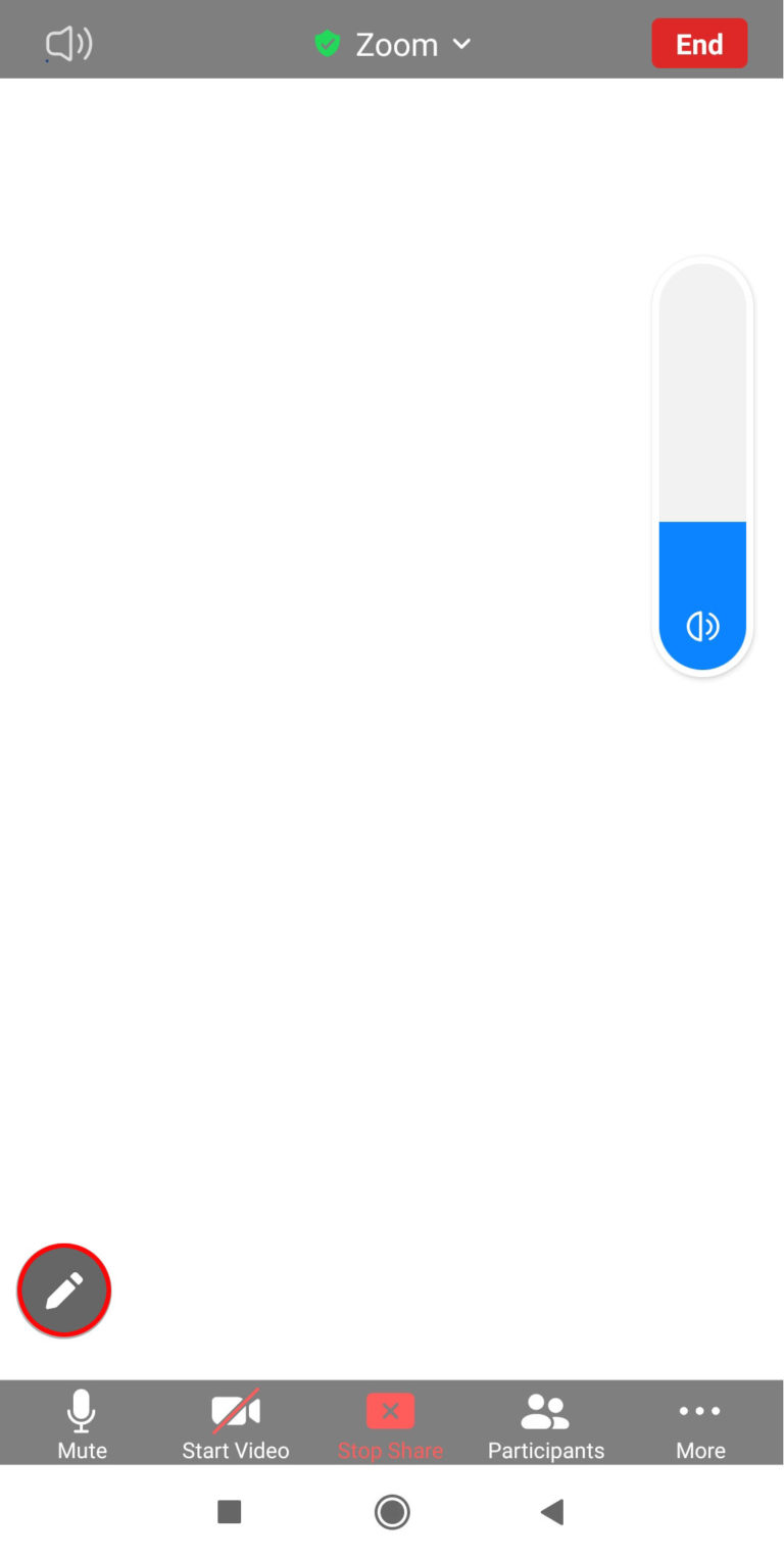 How to Draw in a Zoom Meeting