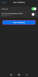 How to Make a Co-Host on Zoom