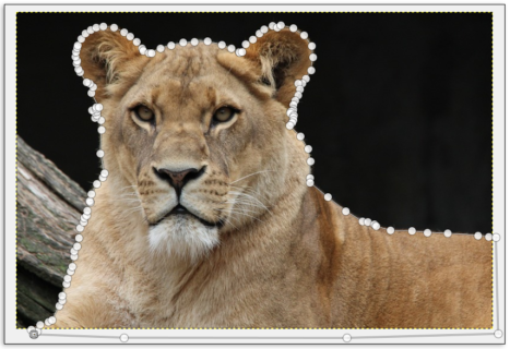 How to Change the Background Color in GIMP