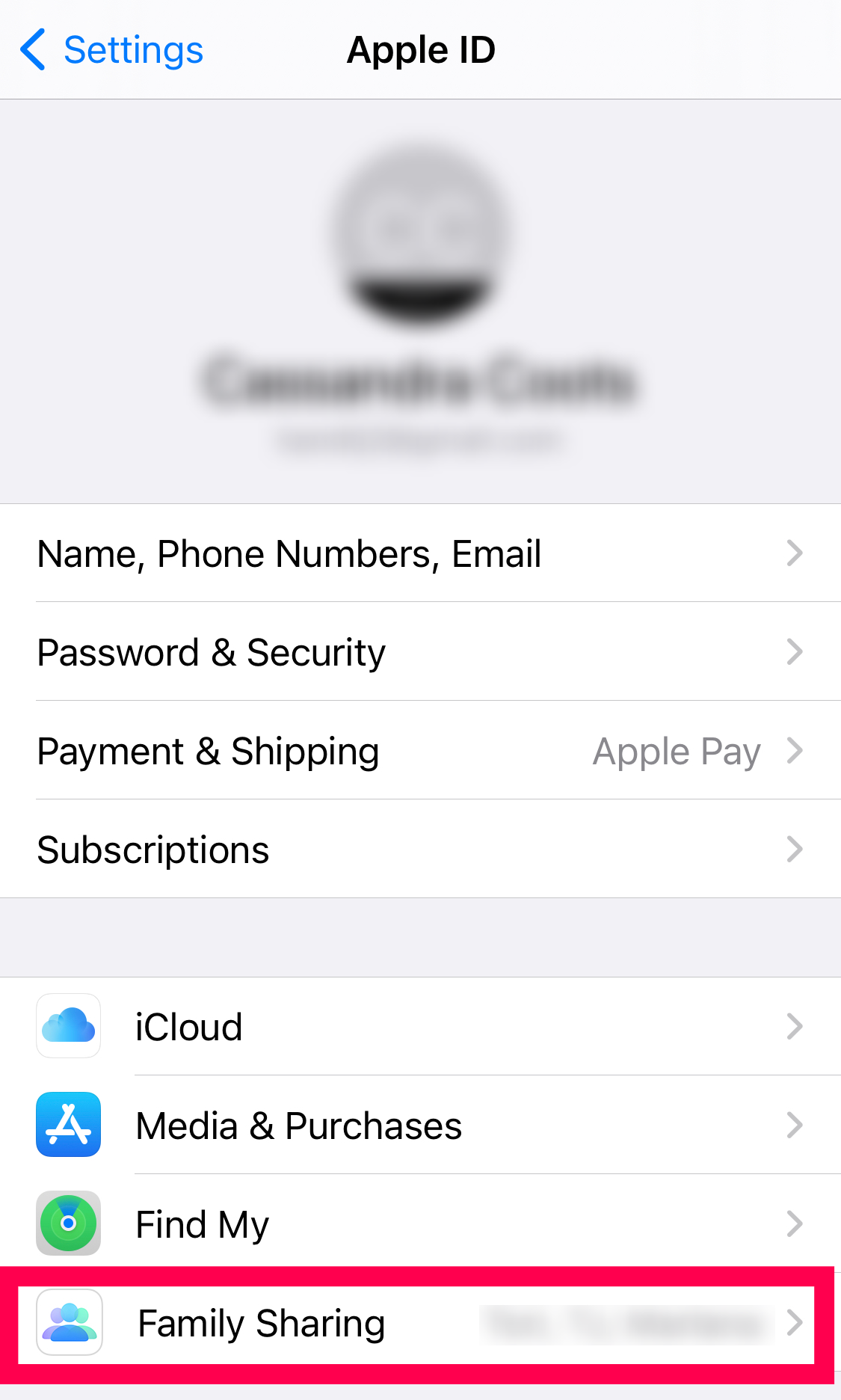 How to Enable Parental Controls on the iPad