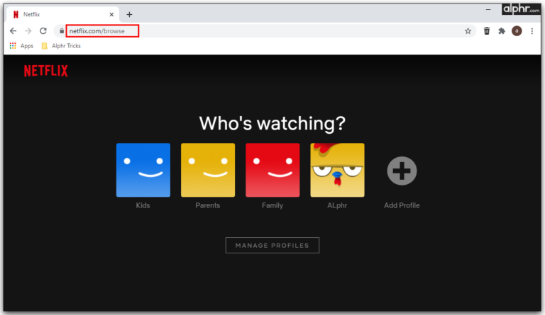 How to Stream Netflix on Discord